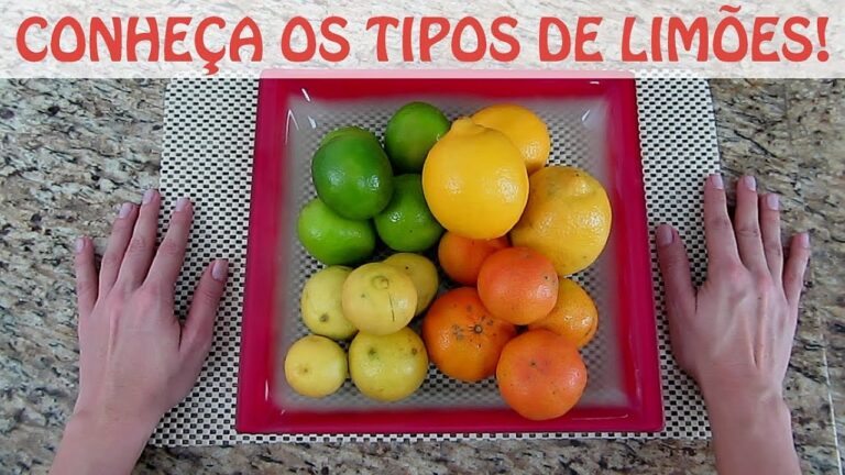 Tipos de Limão: Descubra as Variedades e Seus Usos | Actualizado enero 2026